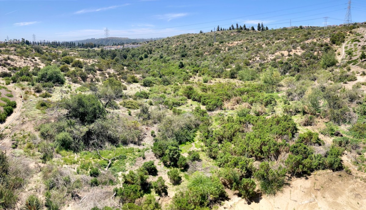 In California, repairing nature is an industry. – Stars, like salt.